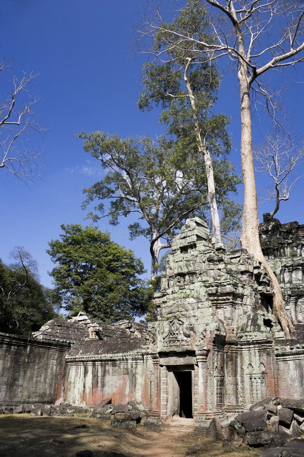 Ta Prohm, Cambodia stock photo. Image of buildings, croft - 8391022
