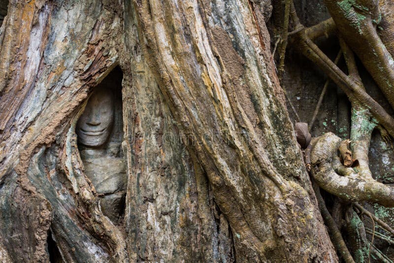 Ta Prohm Hidden Face Insde Tree Stock Image - Image of temple, ancient ...