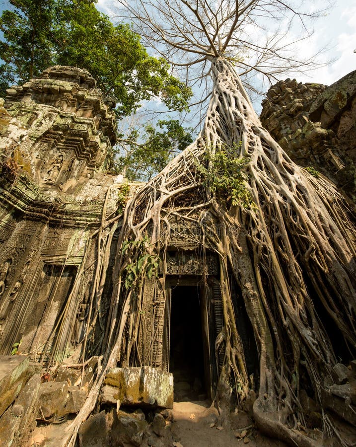 Ta Prohm roots gate stock photo. Image of culture, khmer - 53918866