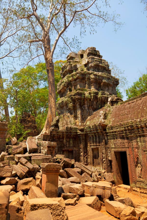 Ta Prohm Ruins, Angkor Wat, Cambodia Stock Photo - Image of root ...