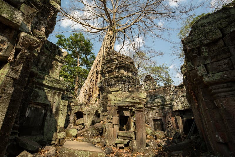 Ta Prohm ruins stock photo. Image of ruins, monument - 53918446