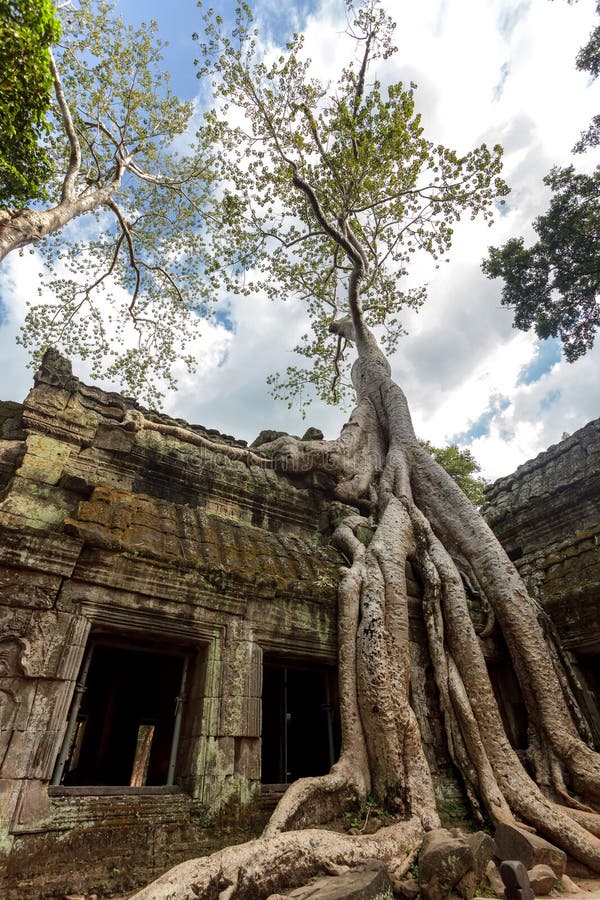 Ta Prohm temple stock image. Image of asian, hinduism - 29328961