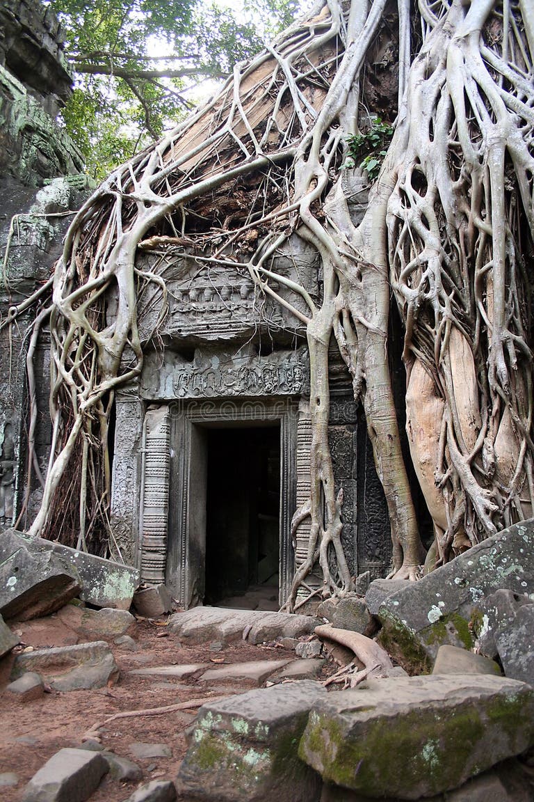 3,549 Cambodian Ta Prohm Temple Stock Photos - Free & Royalty-Free Stock Photos from Dreamstime