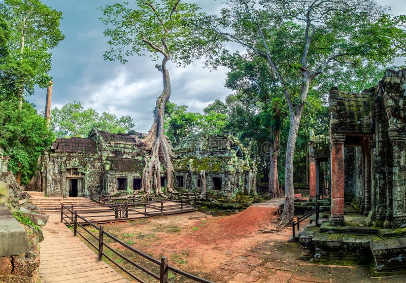 Ta Prohm Temple, Angkor Thom, Siem Reap, Cambodia. Stock Photo - Image ...