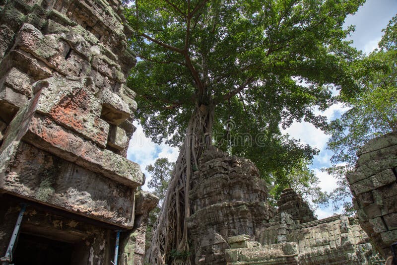 Ta Prohm Temple in Angkor Wat, Cambodia. Stock Image - Image of ...