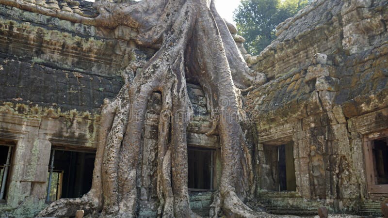 Ta Prohm Temple in Angkor Wat Stock Image - Image of reap, prayer ...