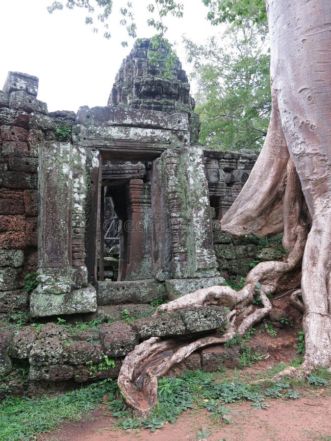 Ta Prohm temple, Cambodia stock image. Image of ruins - 70859421