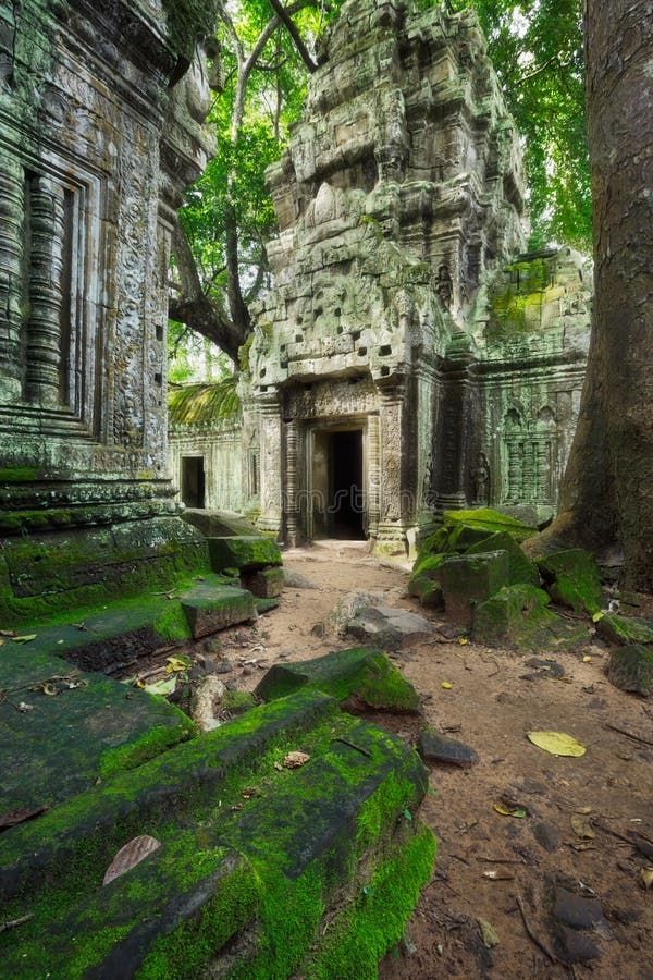 Ta Prohm temple, Cambodia stock image. Image of magnificent - 35140289