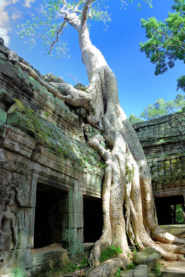 Ta Prohm Temple, Cambodia Series 01 Stock Photo - Image of angkor, area ...