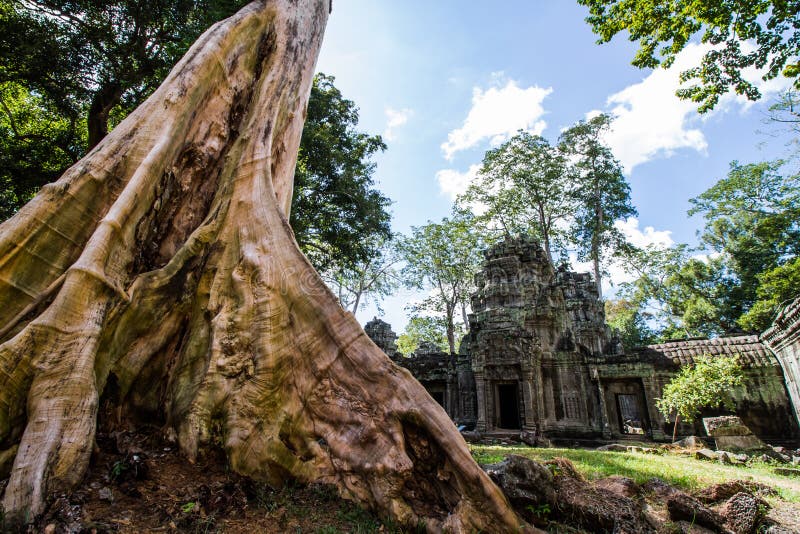 Ta Prohm temple stock image. Image of prohm, decay, rock - 63329533