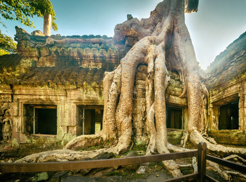 Ta Prohm Temple Panorama. Siem Reap. Cambodia Stock Photo - Image of ...