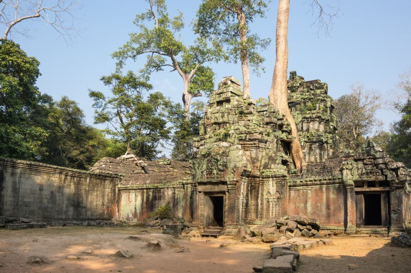 Ta Prohm temple stock image. Image of buddhism, rock - 63075281
