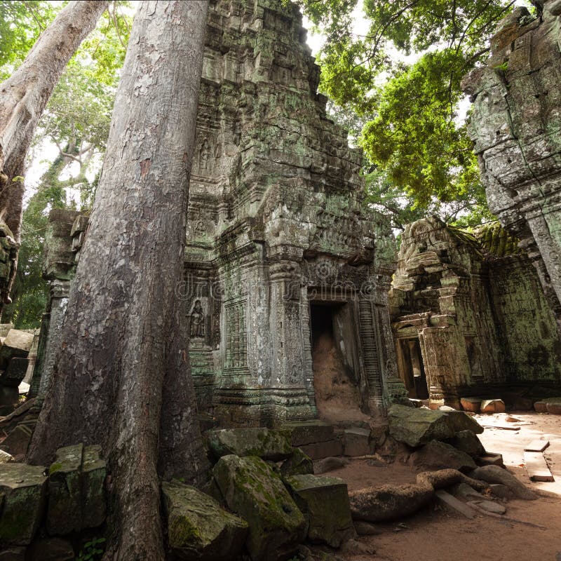 Ta Prohm temple stock photo. Image of angkor, asia, unesco - 79098758