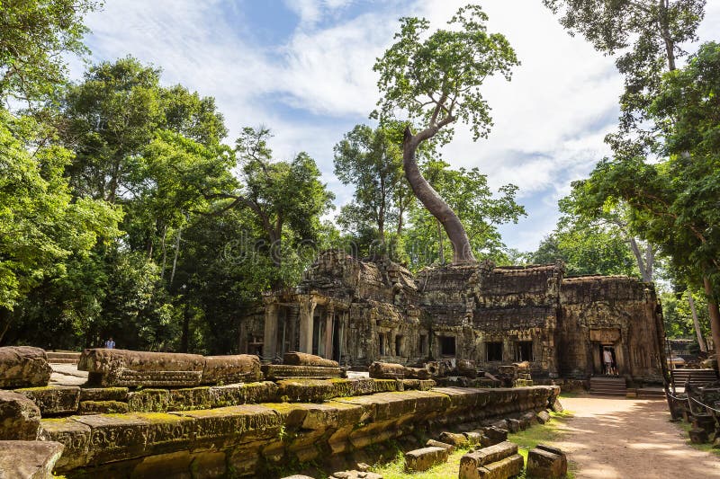 Ta Prohm Temple and Trees editorial stock image. Image of nature ...