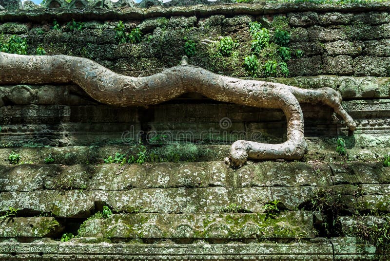 466 False Religion Photos - Free & Royalty-Free Stock Photos from ...