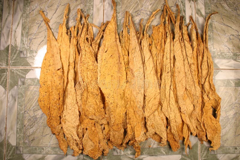 34,699 Photos de Tabac - Photos de stock gratuites et libres de droits ...