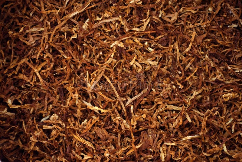 Tabac image stock. Image du brun, tabac, fumée, centrale - 5719877