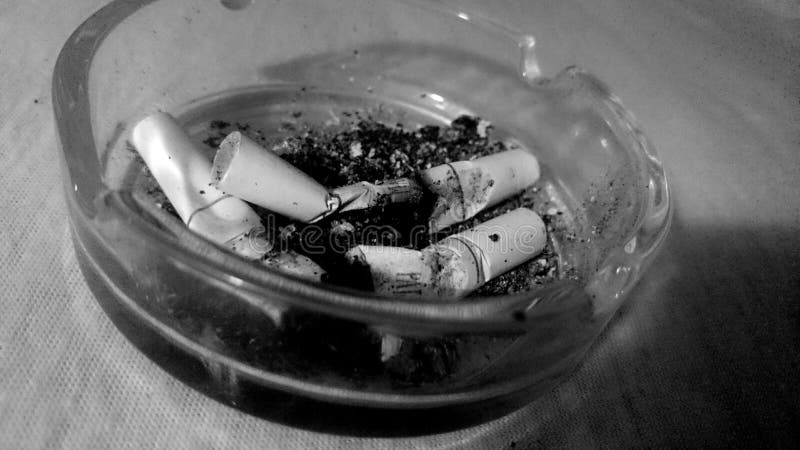 Tabacco editorial stock photo. Image of cigarette, tabacco - 45016938