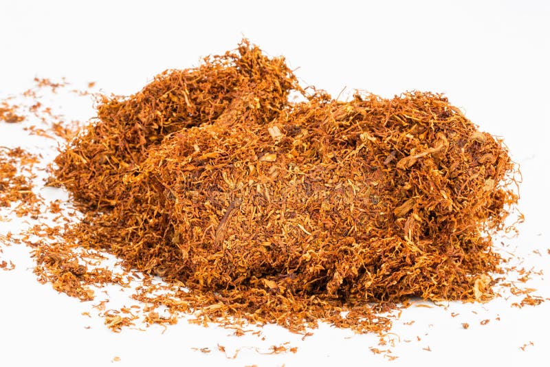 Tabaco seco imagen de archivo. Imagen de cigarrillo, destrozado - 55554307