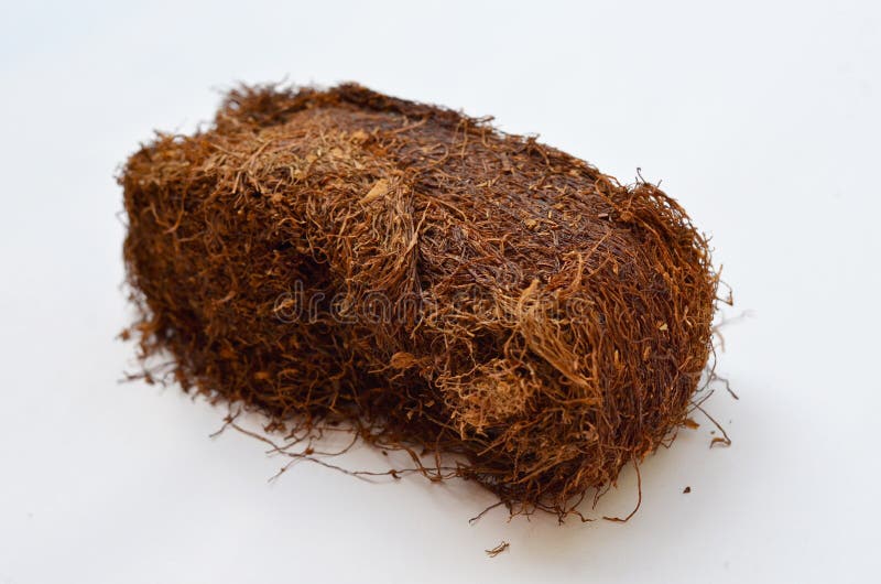 Tabaco Tradicional De Tembakau Mole O Mole De Indonesia. Imagen de ...