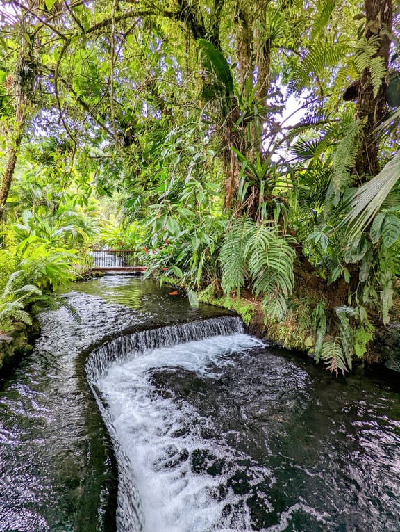 Tabacon Thermal Hot Springs Stock Image - Image of springs, tabacon ...