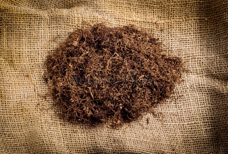 Tabak stockfoto. Bild von getrocknet, tabak, zigarette - 10696496