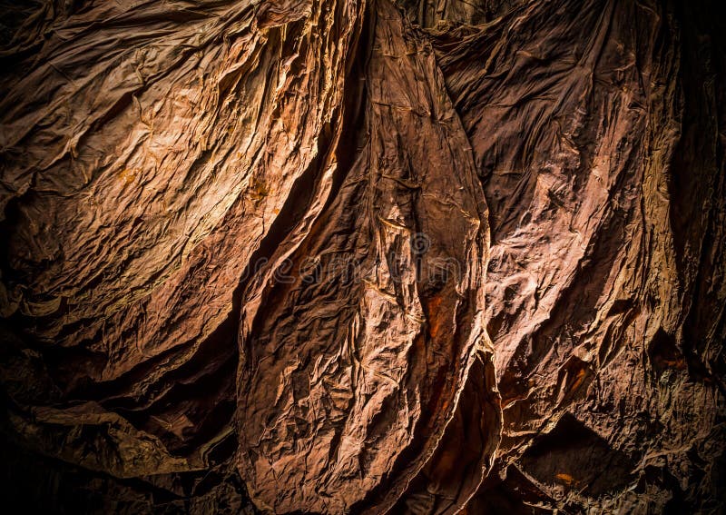 Tabak stockfoto. Bild von getrocknet, tabak, zigarette - 10696496