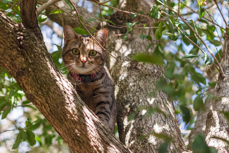 Justin Wearne (Crystalwiz0101) - Photographer profile