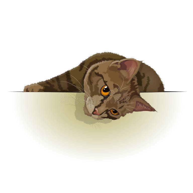 Tabby cat stock vector. Illustration of pointer, contour - 174855379