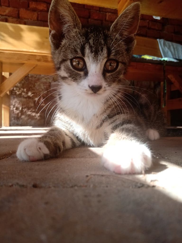 227 Marks Bench Stock Photos - Free & Royalty-Free Stock Photos from ...