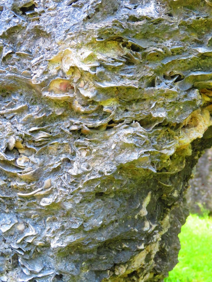 Tabby Oyster Shell Construction Detail Stock Image - Image of gray ...