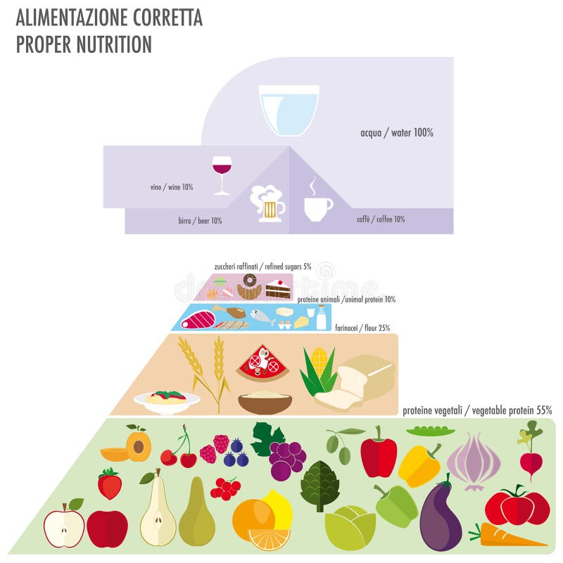 Food Pyramid Divided into 5 Parts Stock Vector - Illustration of ...
