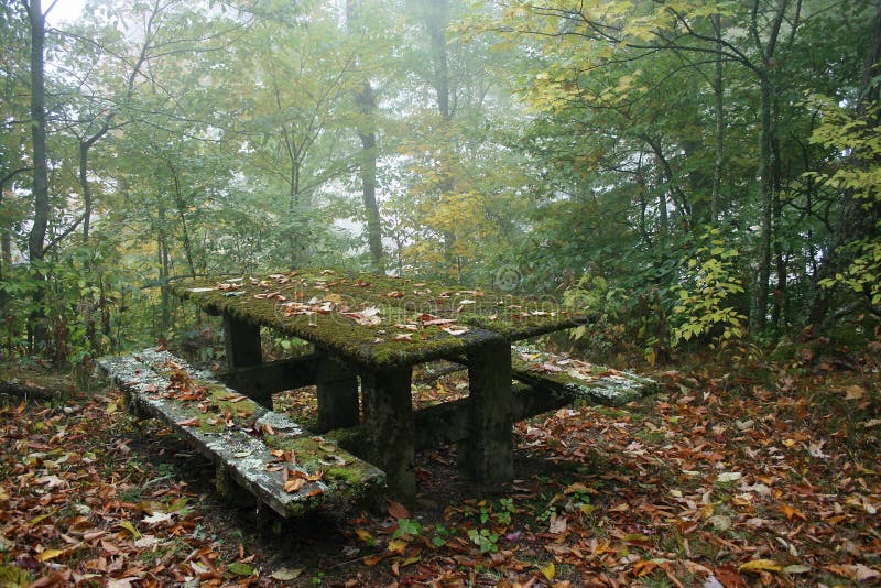 Table stock photo. Image of vintage, picnic, autumn, forest - 5886248