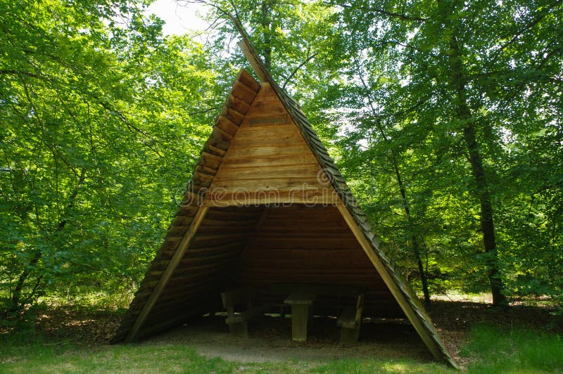 The bower in the forest stock photo. Image of green - 122031856