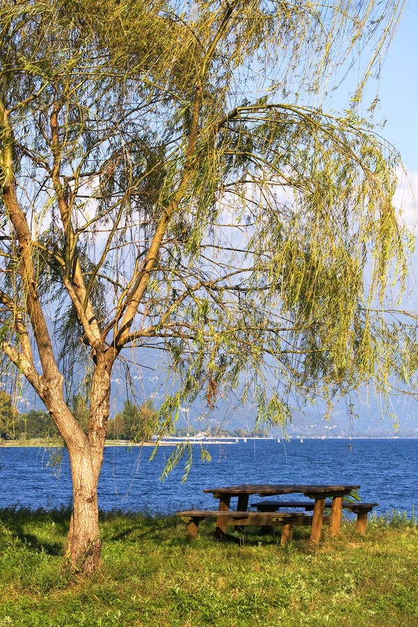 Table and benches stock photo. Image of rickety, season - 11379950