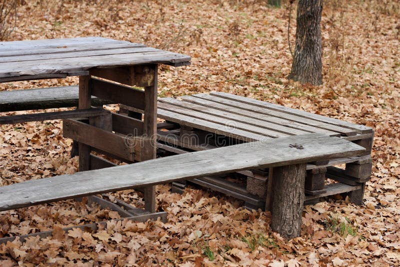 Table with Benches in the Forest Autumn Stock Photo - Image of table ...