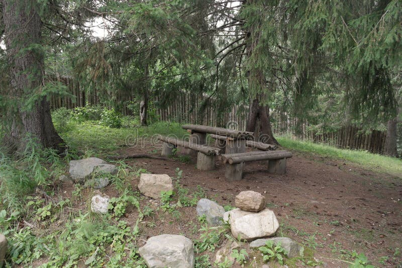Table and Benches for Relaxing in a Clearing in the Forest Stock Photo ...