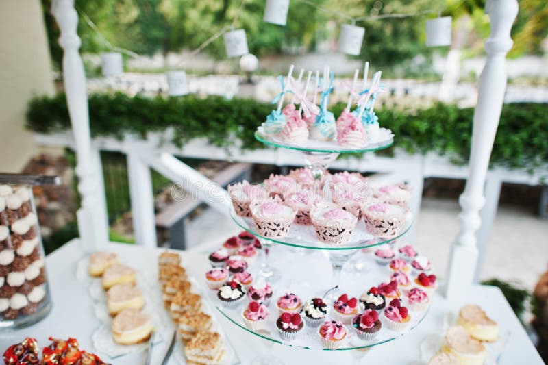 Table Catering with Different Cakes and Cupcakes at Wedding Reception ...