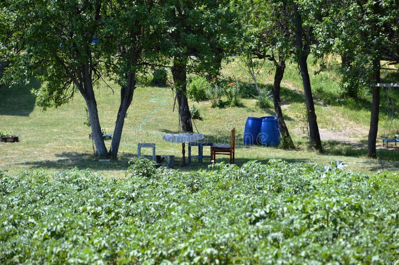 Table and a Chair Under a Tree in the Garden Stock Image - Image of ...