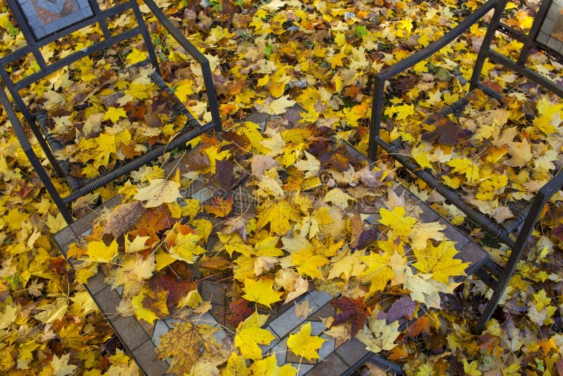 Table and Chairs with Fallen Autumn Foliage Stock Image - Image of ...