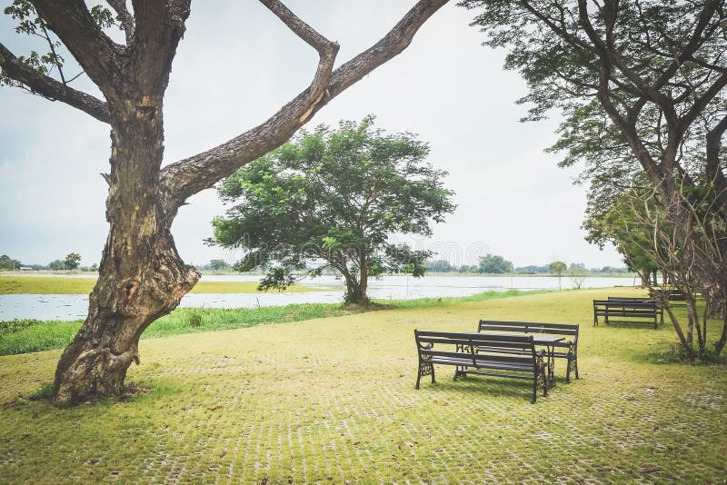 Table and Chairs in Relaxing Zone at Park Stock Image - Image of ...