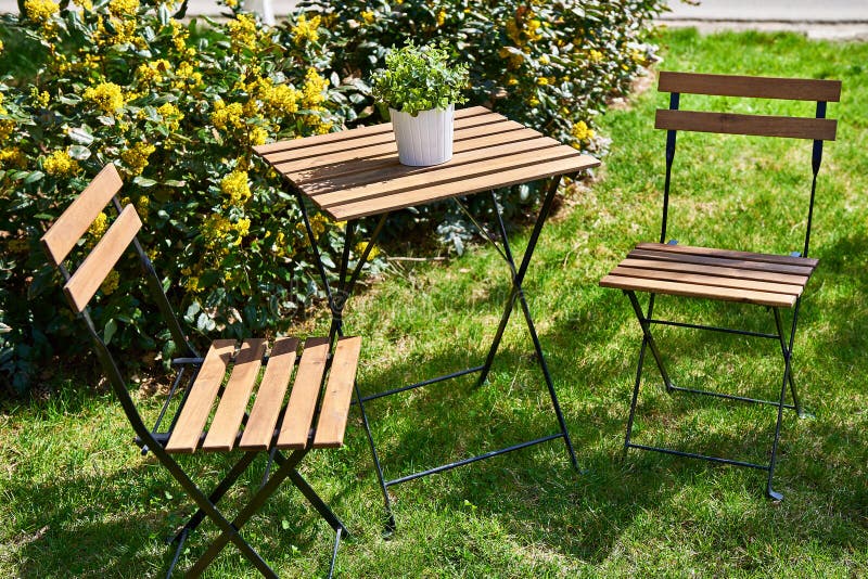Table with Chairs on Summer Lawn in Garden Stock Image - Image of plant ...