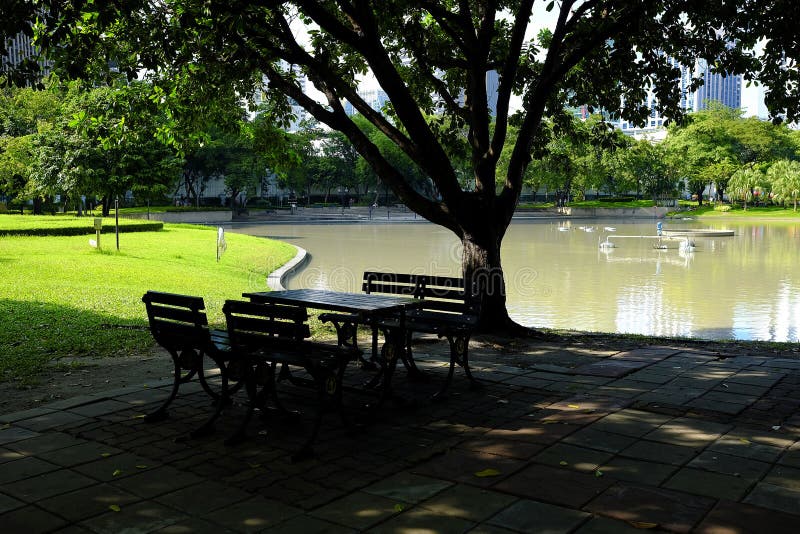 Table and Chairs Under the Tree in the Public Park. Stock Photo - Image ...