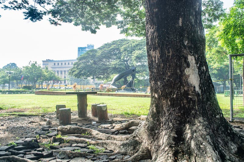 Table and Chairs Under a Tree at the Rizal Park Editorial Photography ...