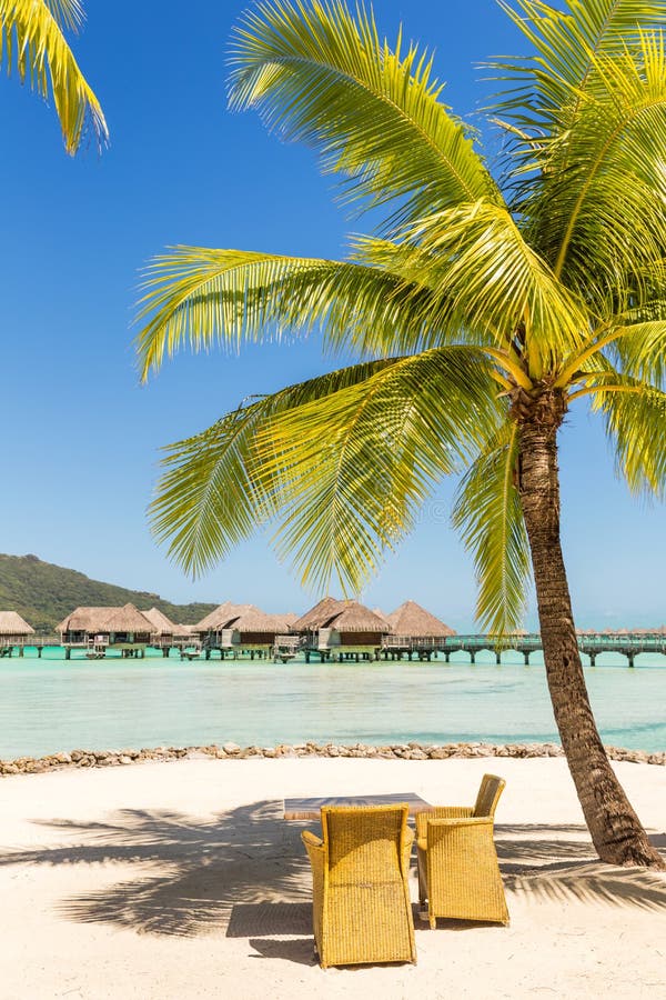 Table and Chairs Under Tropical Tree on White Sand Beach Stock Image ...