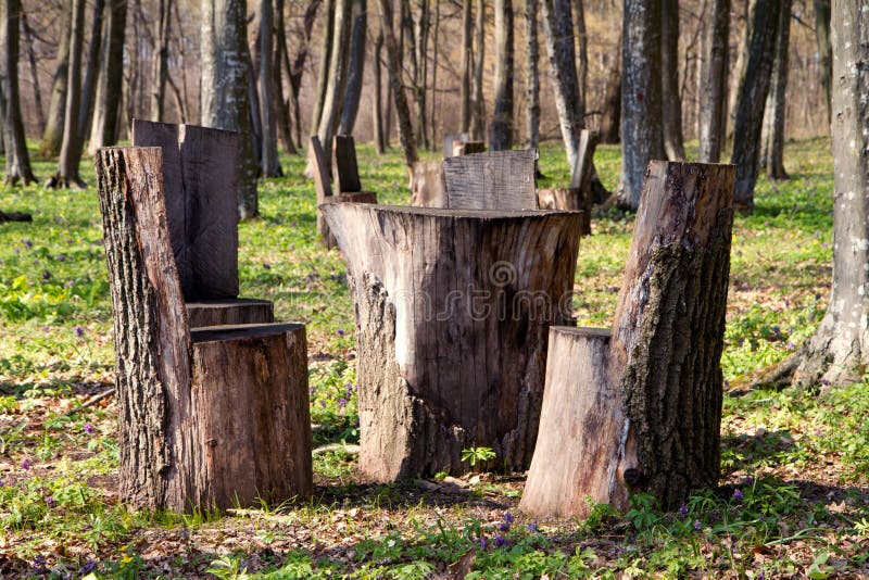 Table and Chairs of Wood Trunk Stumps. Rest Place Stock Image - Image ...