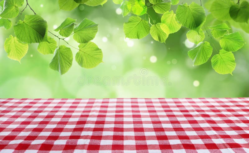 Checkered Picnic Tablecloth on Fresh Green Grass, Top View. Space for ...