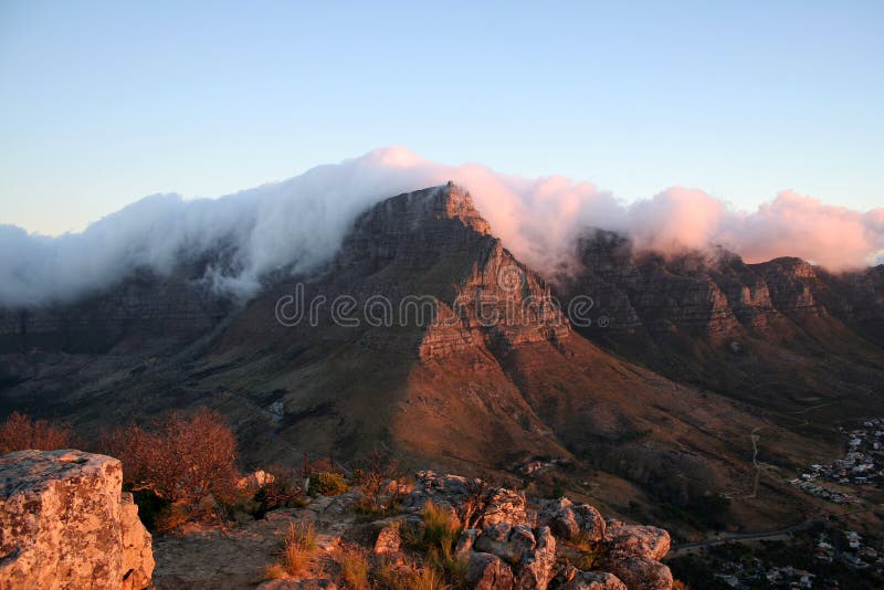 Table Cloth stock image. Image of city, mother, lion - 17869867