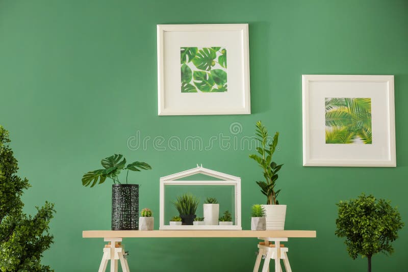 Table with Different Plants in Pots Near Color Wall Stock Image - Image ...