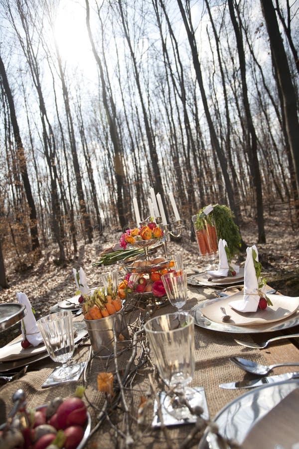 Table with food in forest stock image. Image of fork - 23828607